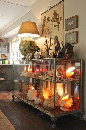 11 Unique Ways To Use Shells In Your Home Decor